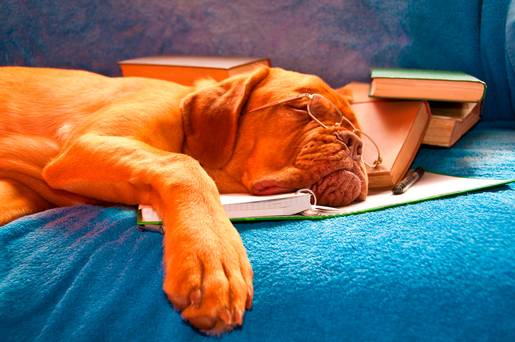 Chasing Games | TV Tag | Playvolution HQ