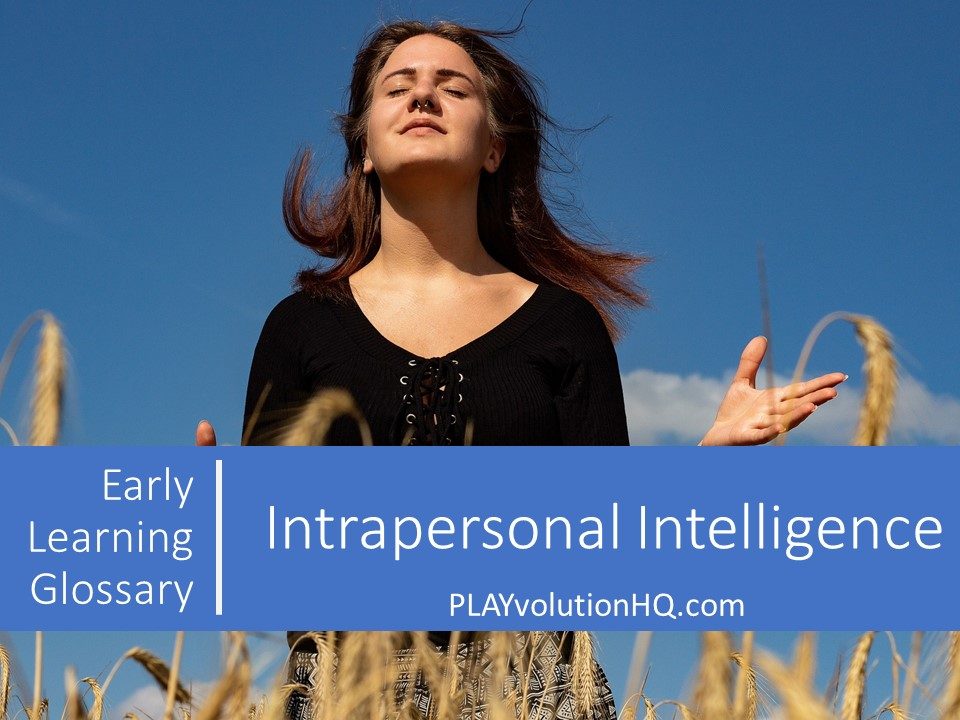 Intrapersonal Intelligence Playvolution HQ Intrapersonal Intelligence Playvolution HQ