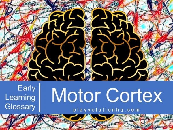 Motor Cortex | Playvolution HQ